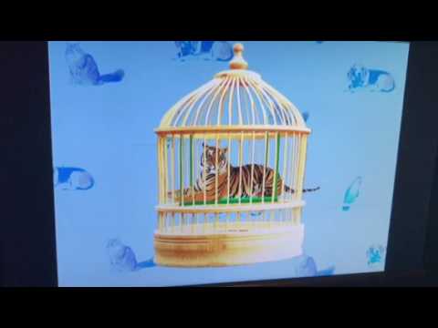 Elmo's World: Pets Quiz - YouTube