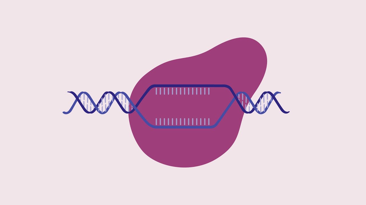 Gene Editing YouTube gene-editing-youtube