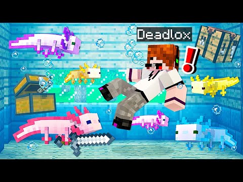 Secretly Filling His House With AXOLOTLS..