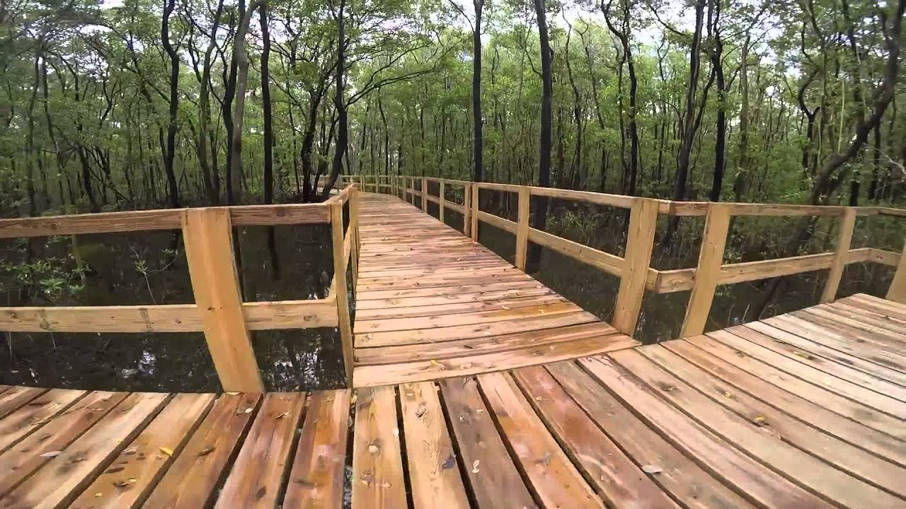Nuevo Sendero del Parque Regional Old Point - YouTube