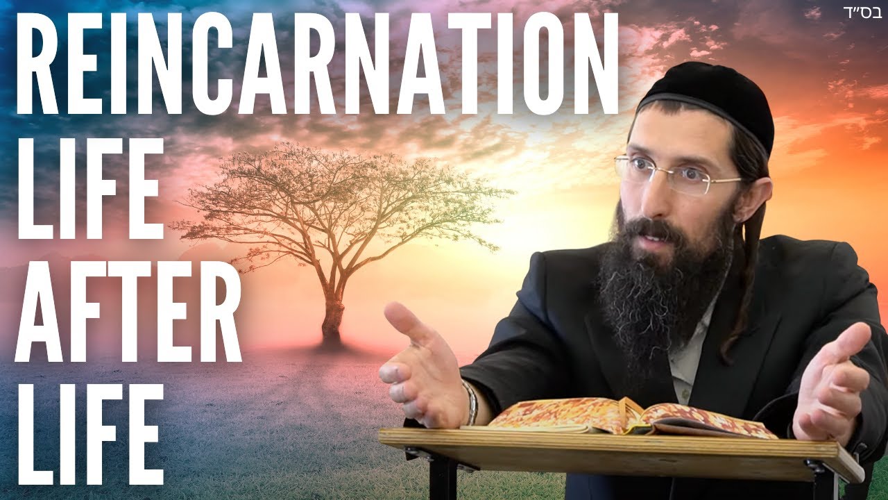 Reincarnation | Life After Life - YouTube