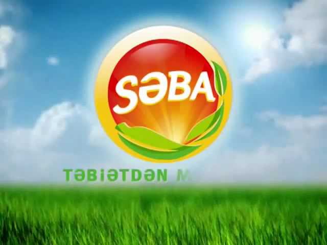 Saba Tv Logo Yemen: IFJ Raises Concerns About The Fate Of 30 TV