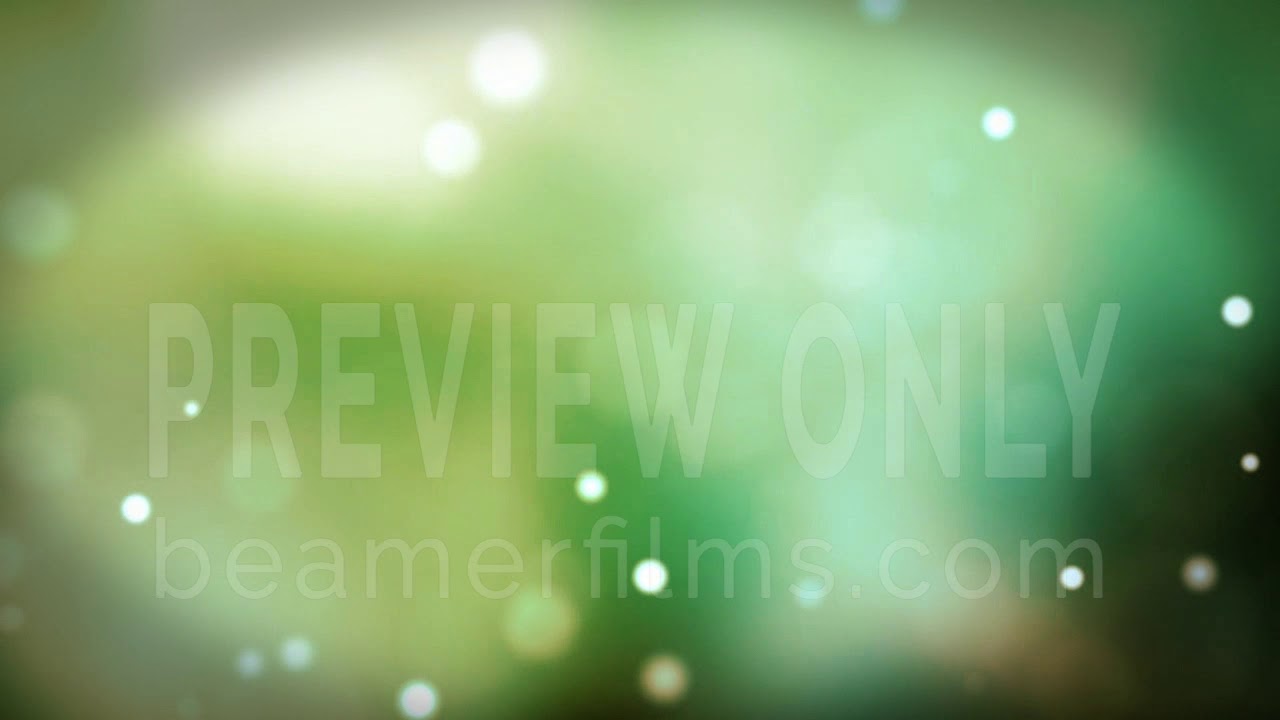 Firefly Particles Forest Loop by Beamer Films - YouTube