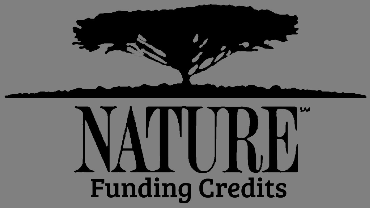 Nature Funding Credits Compilation (1982-present) (CLASSIC) - YouTube