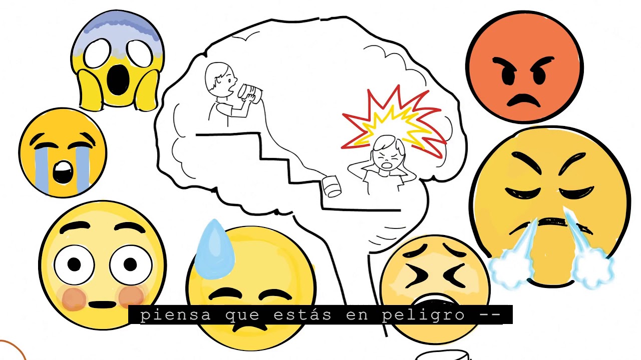 Why Do We Lose Control of Our Emotions OC - YouTube