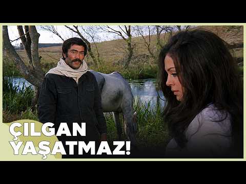 Namus Borcu Türk Filmi | Halil, Gurbet'i Kaçırdı