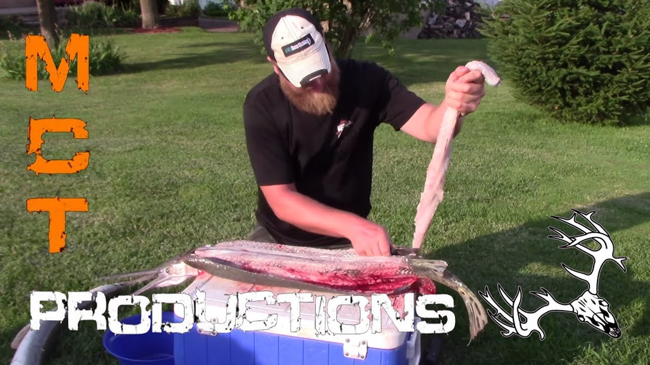 How To Clean A Gar - YouTube