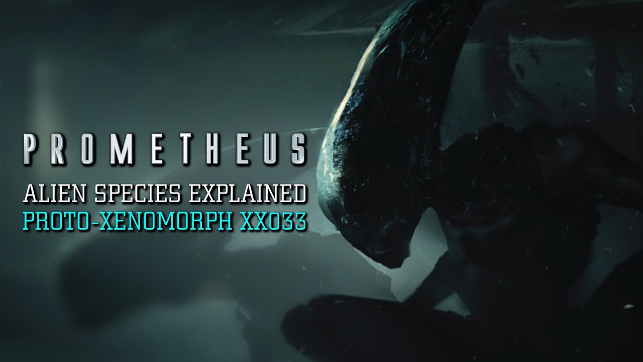 The Proto-Xenomorph (The Deacon) Stage 4 XX033 - Alien Species ...