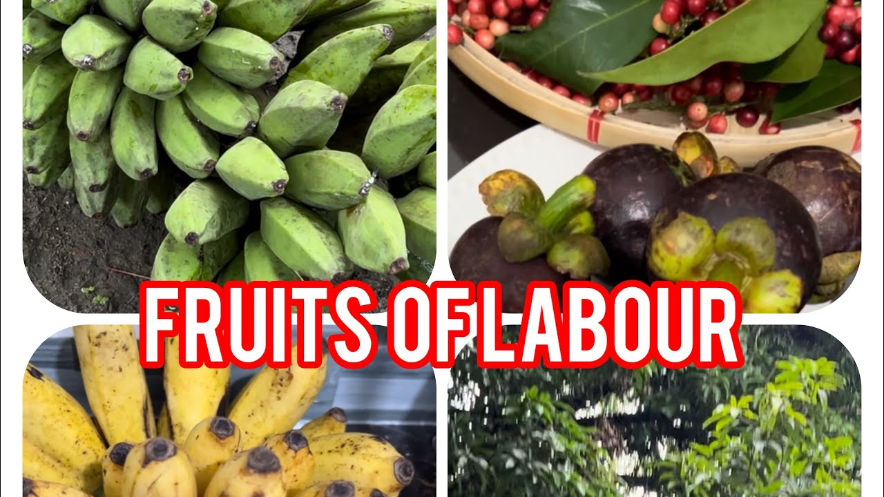 Fruits of Labour - YouTube
