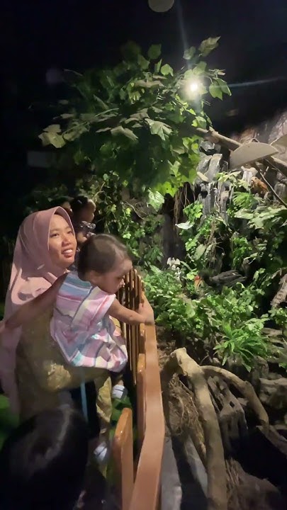 Cek isi museum central park zoo - YouTube