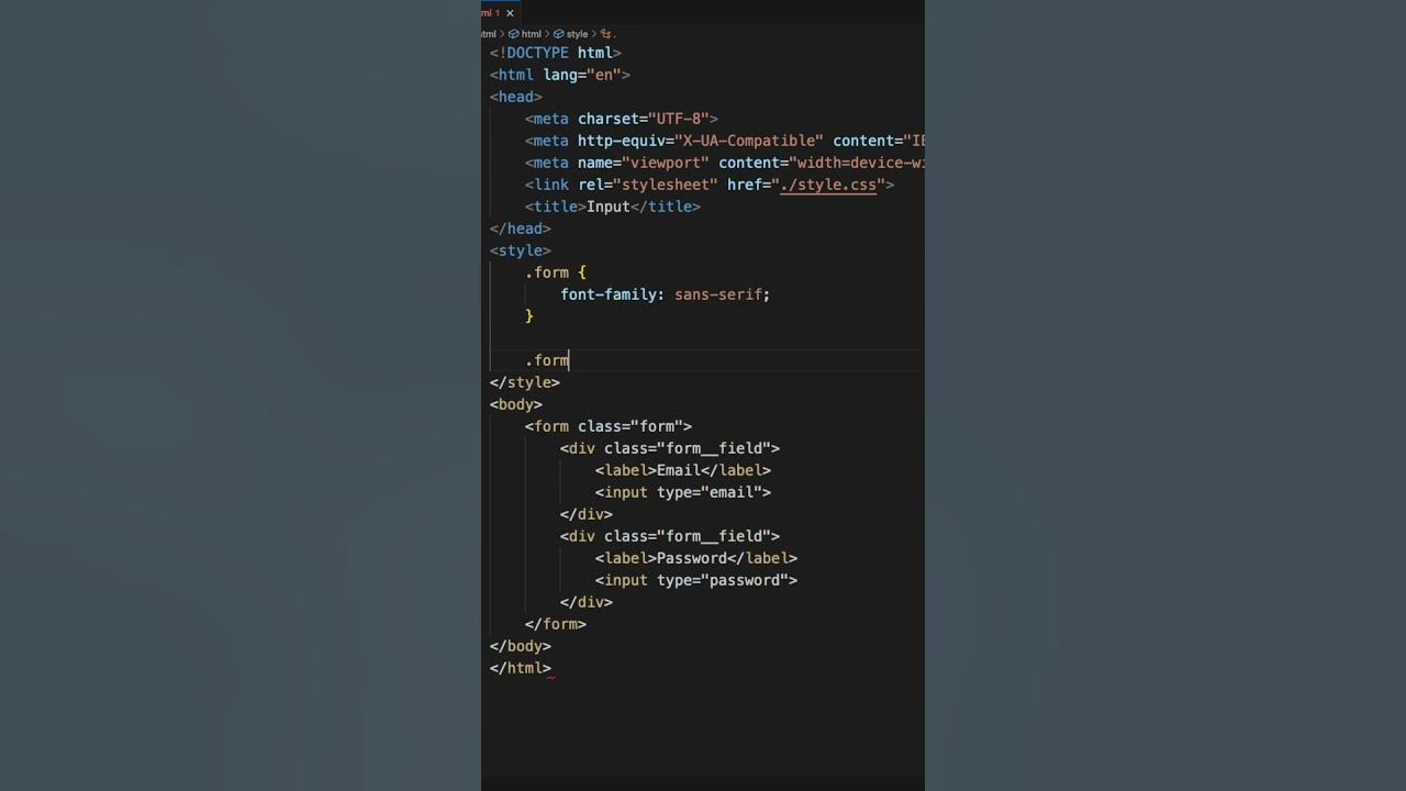 Style Input And Label Using HTML & CSS - YouTube
