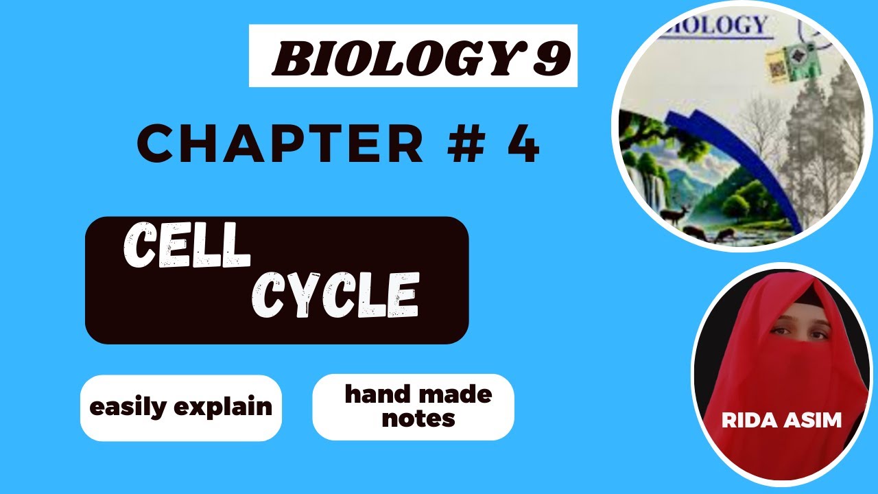 Biology | Cell cycle | class 9 | easily explain - YouTube