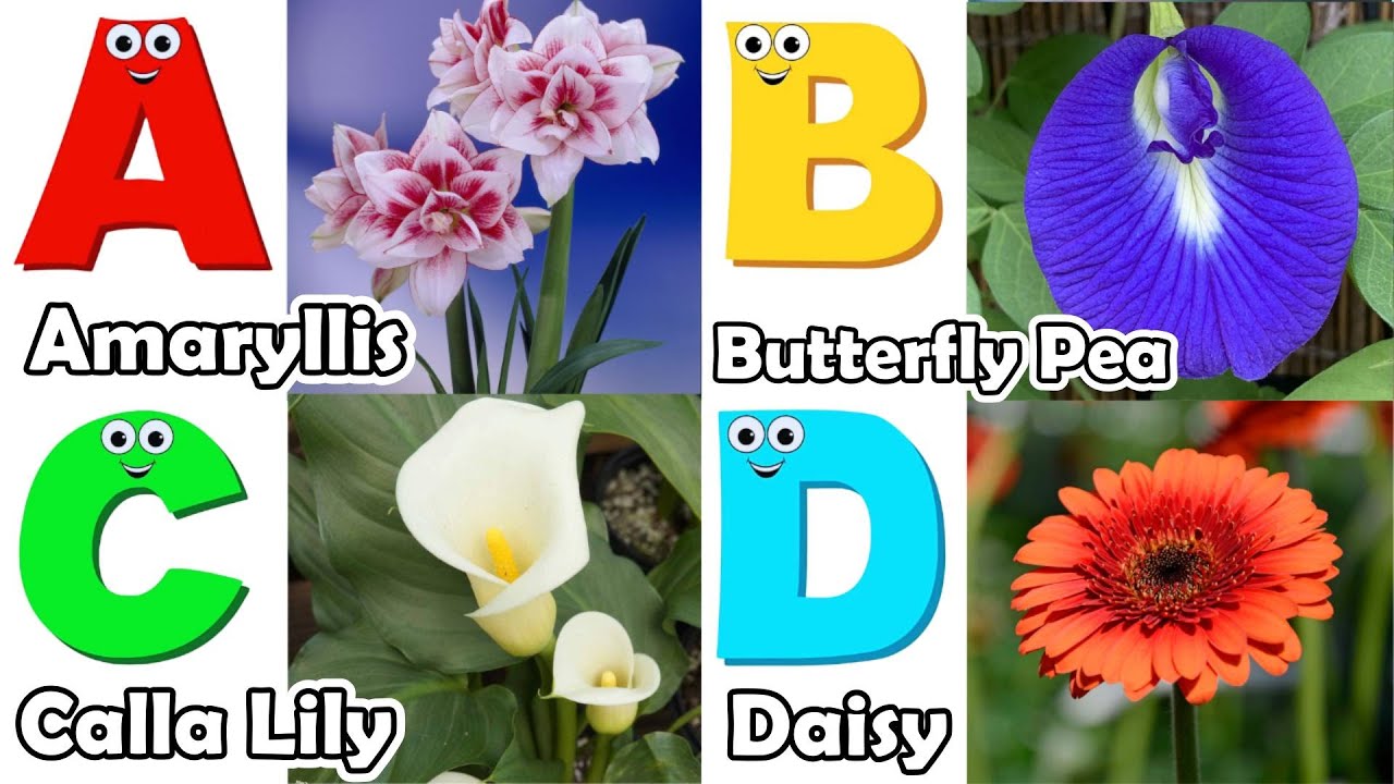 Flowers Alphabet Song | Flowers ABC Song | A to Z Flowers Names ...