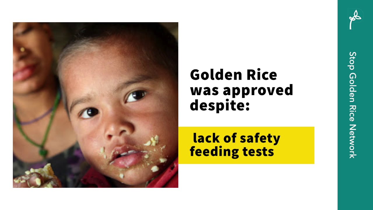 Reasons to reject Golden Rice - YouTube