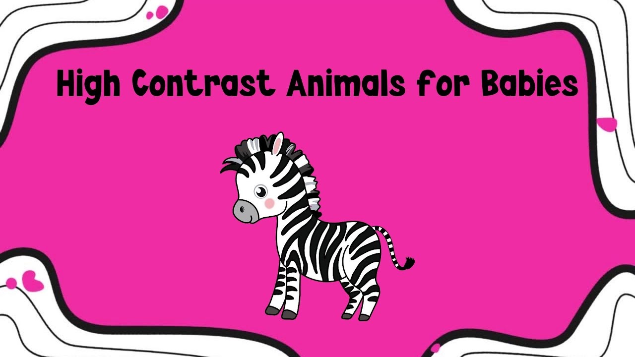 High Contrast Animals for Babies: Relaxing Classical Music - YouTube