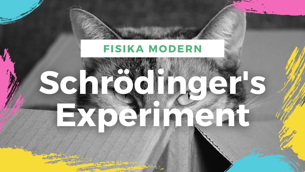 Apa itu kucing Schrödinger⁉ - YouTube