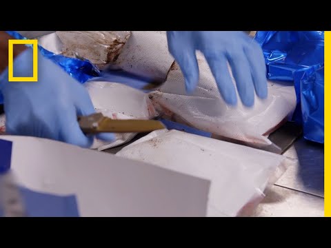 Narcotics Hidden in Coffee Bags | To Catch a Smuggler