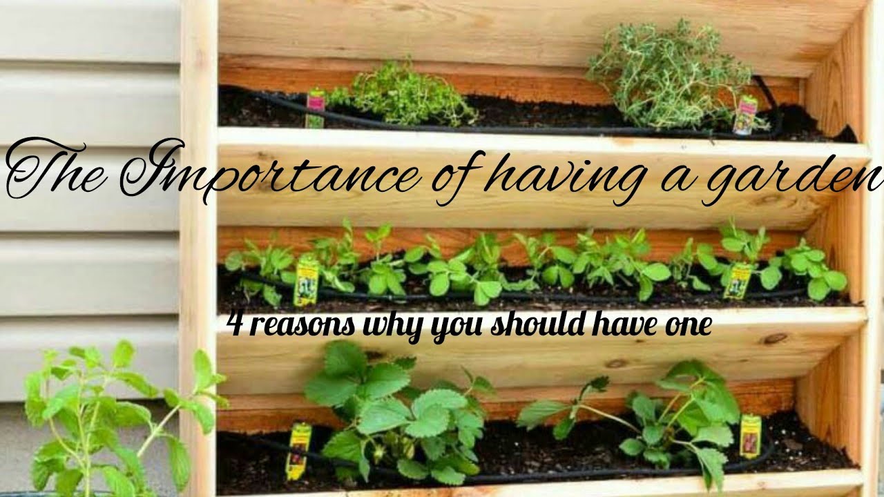 The Importance Of Having A Garden - YouTube