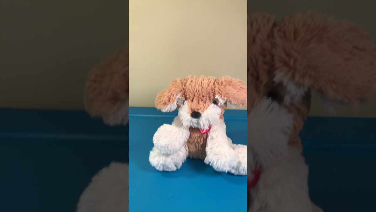 2013 Mattel Barbie sleepover dog - YouTube