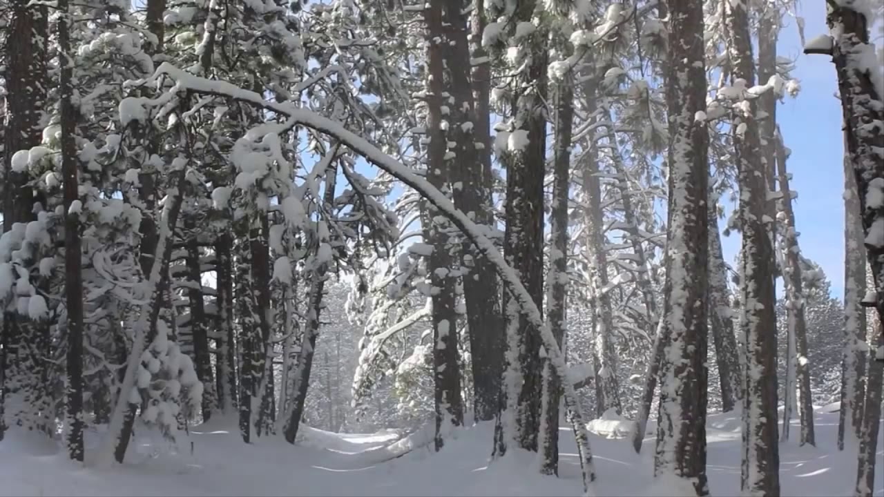 Winter SNOW scene 4k RELAX 2 Hours - FEEL THE COLD Winter at YOUR Home ...