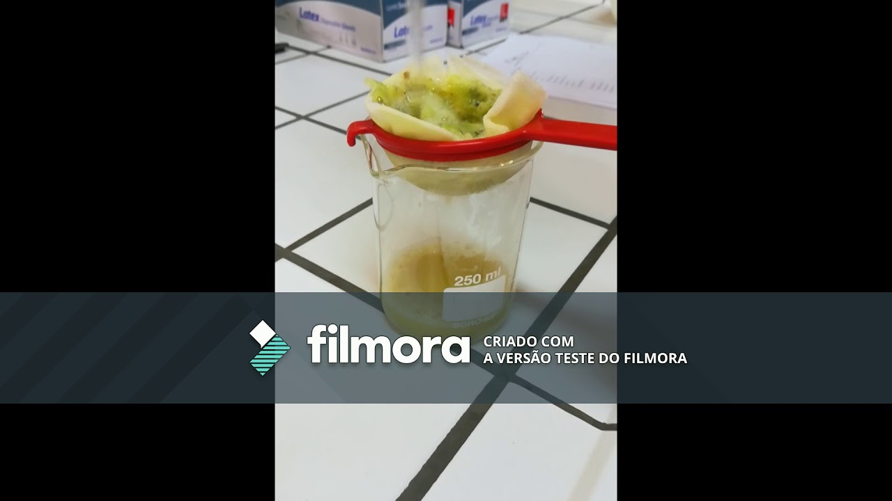 EXTRAÇÃO DE DNA DO KIWI - BIOQUÍMICA - YouTube