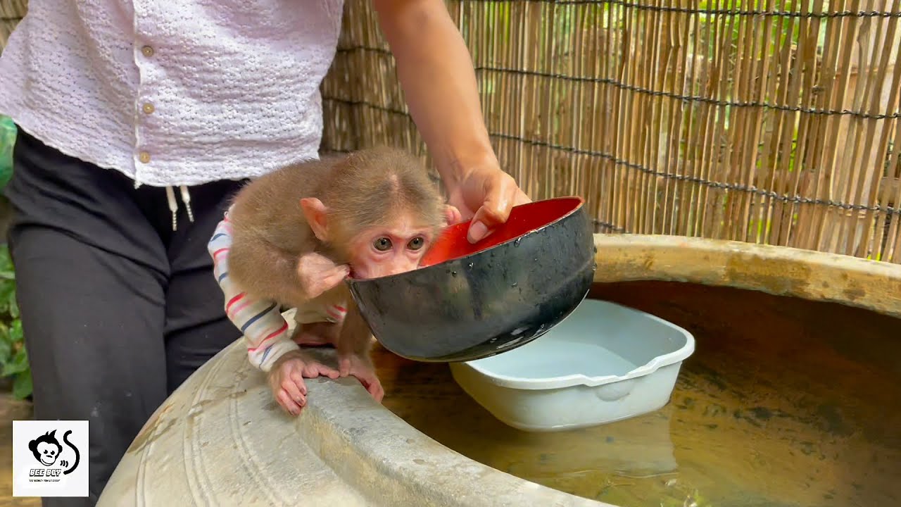 BeeBoy Ran To Drink Water Quickly Cuz He Hadn't Had Water For Almost A ...