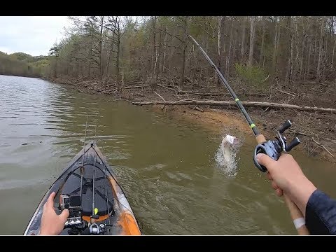 MUSKIE BATTLE while kayak bass fishing Cave Run Lake - YouTube