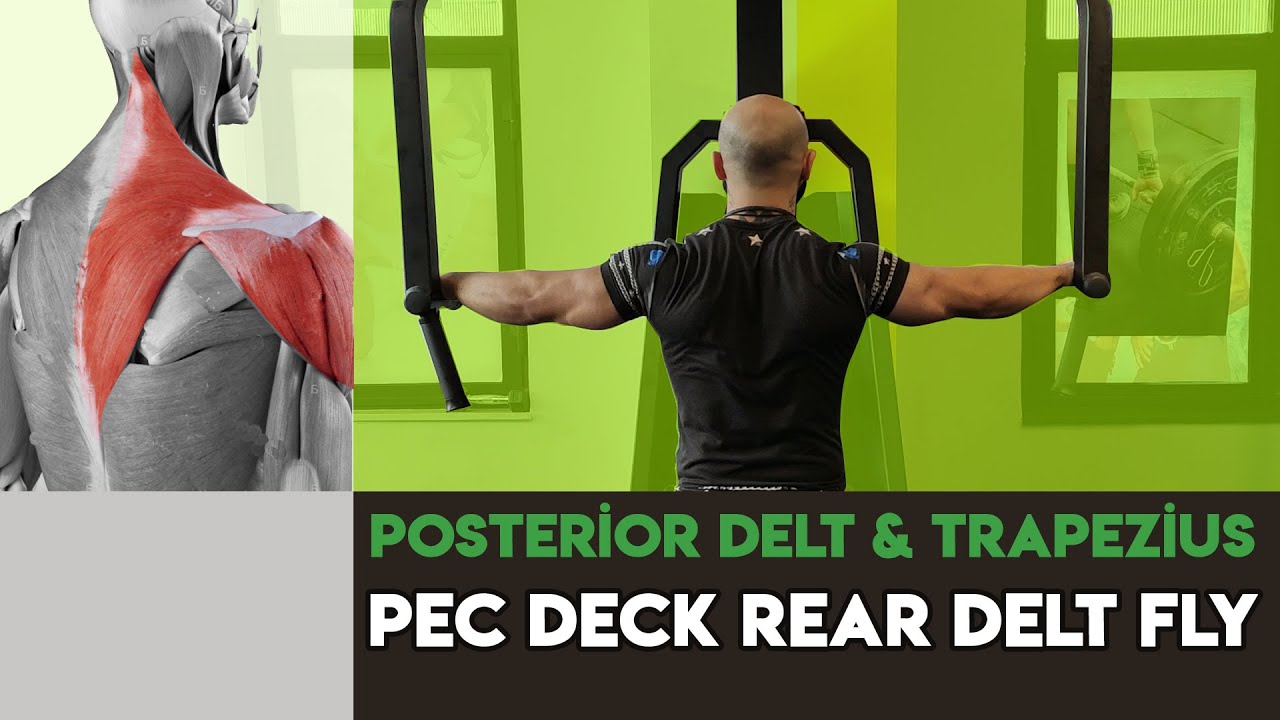 Pec Deck Rear Delt Fly - Raises ( Arka Omuz Güçlendir ) - YouTube
