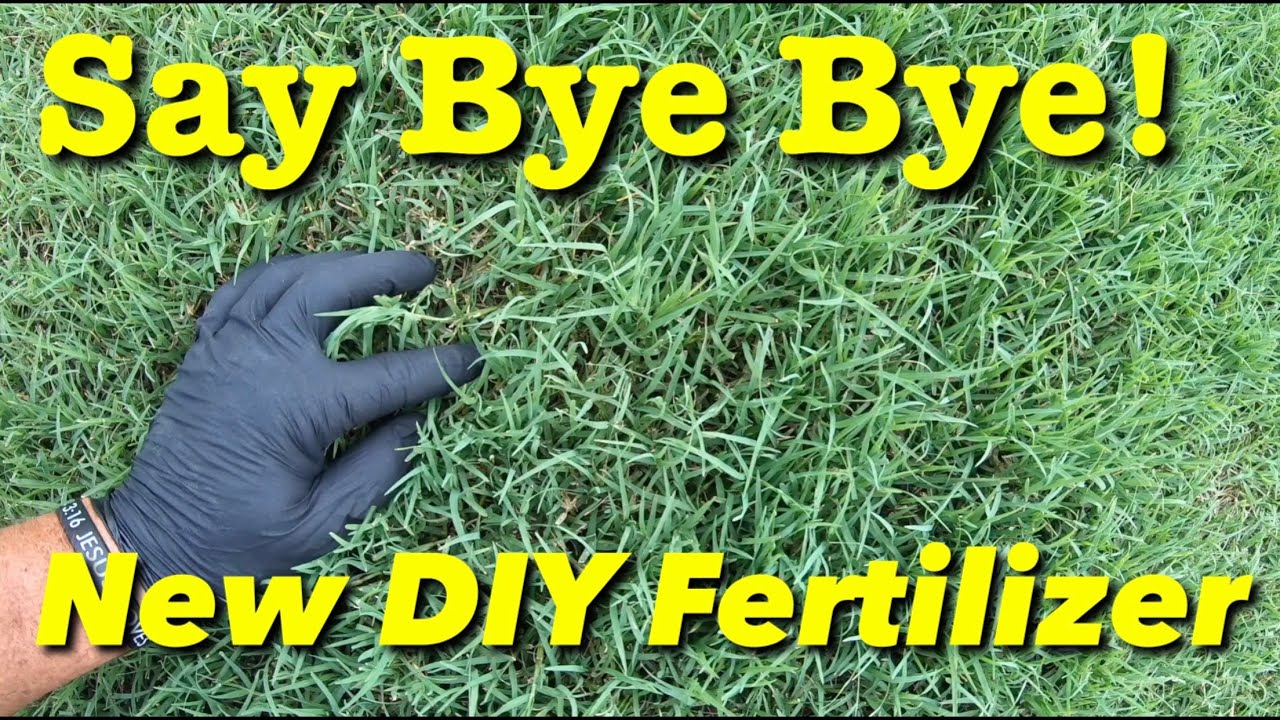 How To Start A Lawn Renovation And Finish In The Spring - YouTube