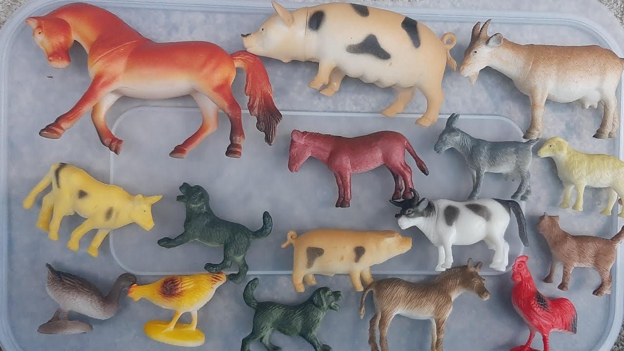 Collection of animal toys lion elephant dog camel horse giraffe pig ...