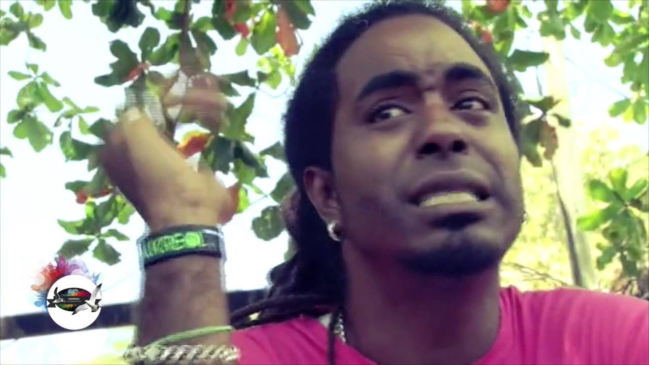 Seychelles Music Artist - JAHKIM - DONN OU BAL - YouTube