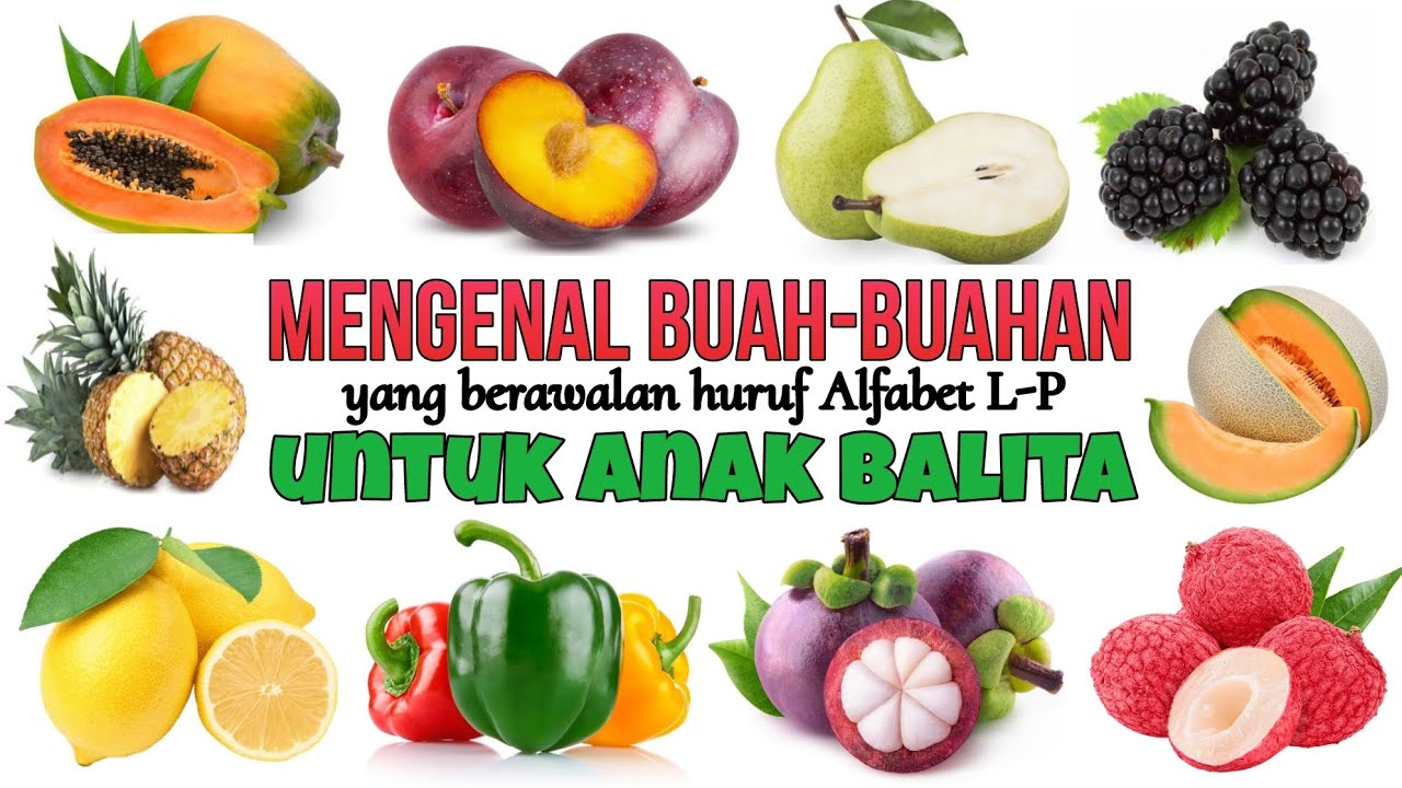 MENGENAL BUAH-BUAHAN YANG BERAWALAN DENGAN HURUF ALFABET G-K UNTUK ANAK ...