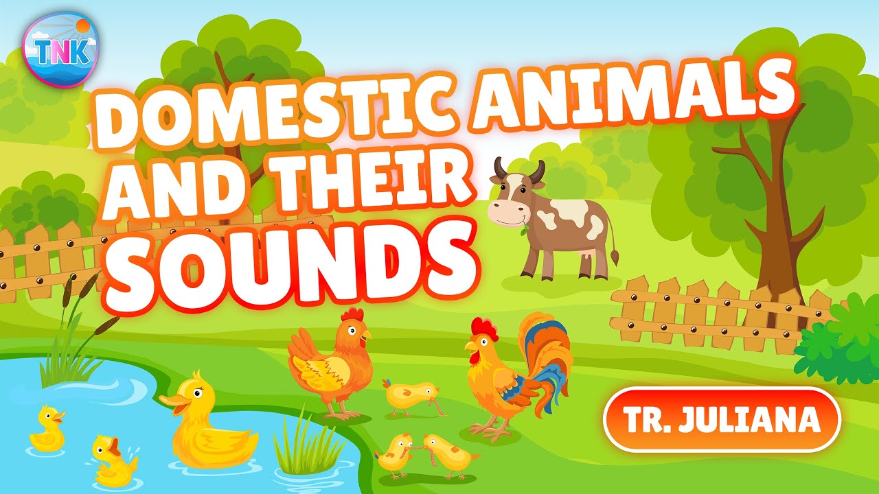 Animal Sounds Adventure for Kids: Learn About Domestic Animals and ...
