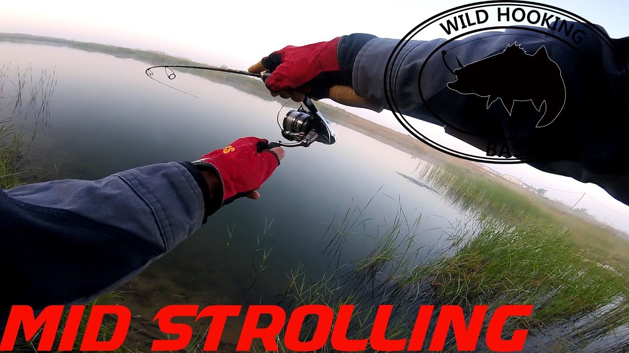 WHook.14 배스낚시 아침피딩 미드스트롤링 Mid Strolling Bass Fishing - YouTube