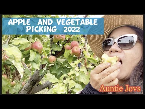 Apple and Vegetable Picking 2022 - YouTube