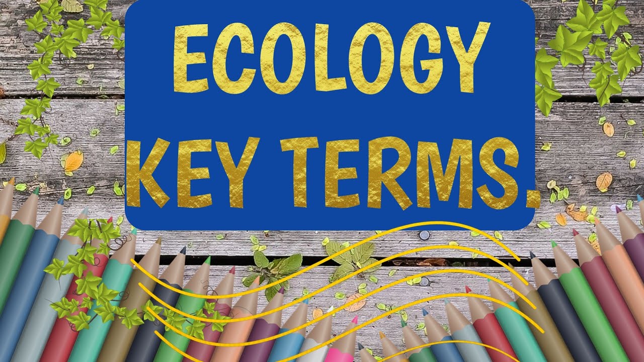 Key terms of ecology | Key terms in ecology (2020) - YouTube