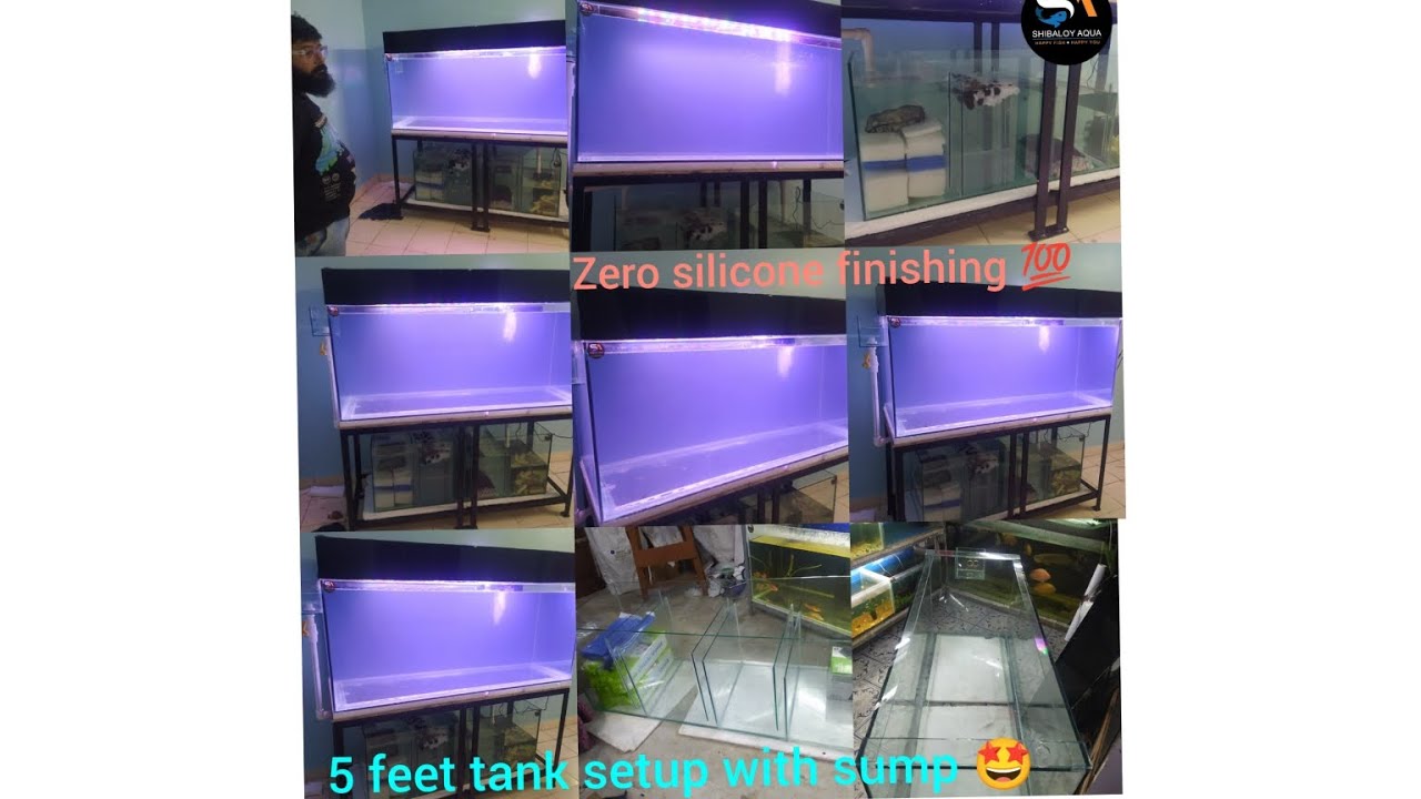 5 feet tank setup with best filtration ( sump filter)phone no ...