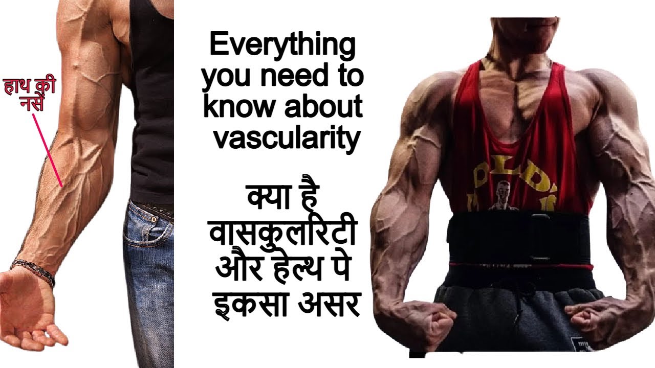 Everything you need to know about vascularity | Veins | Vascular Body ...