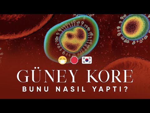 Güney Kore Bunu Nasıl Yaptı? | G. Kore'nin Covid 19 Başarısı