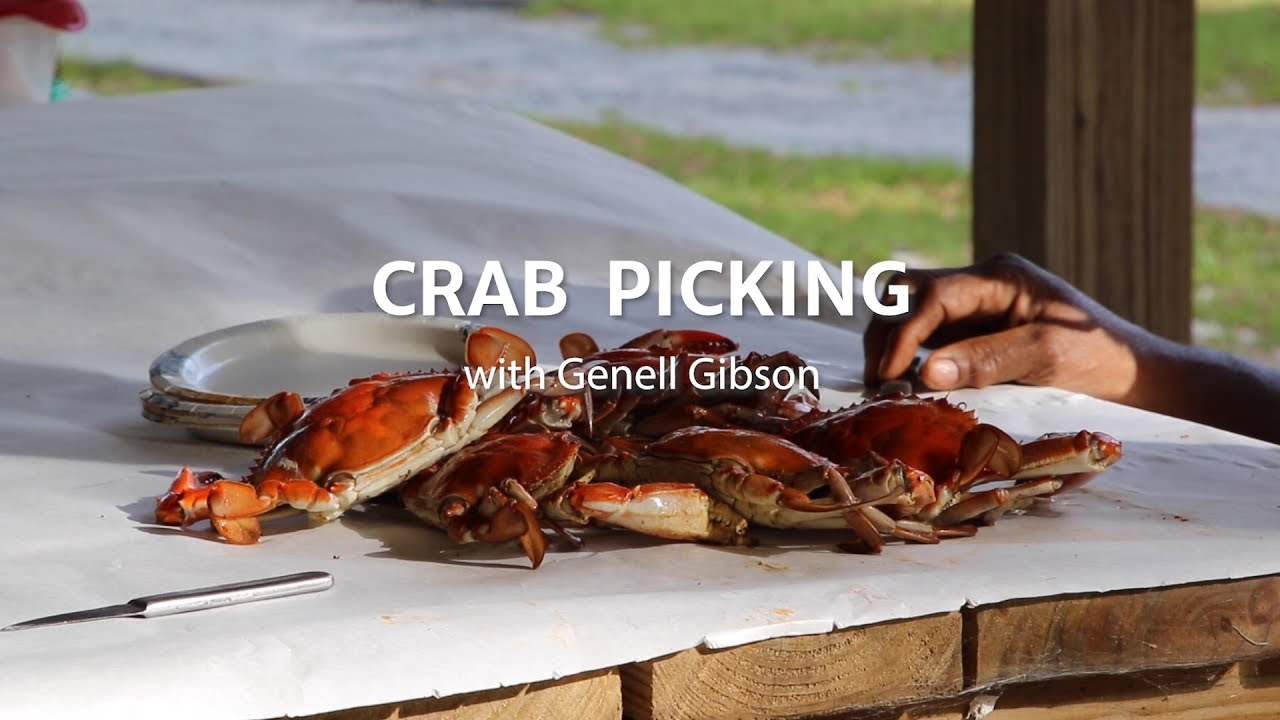 How to Pick Blue Crabs Featuring Genell Gibson - YouTube