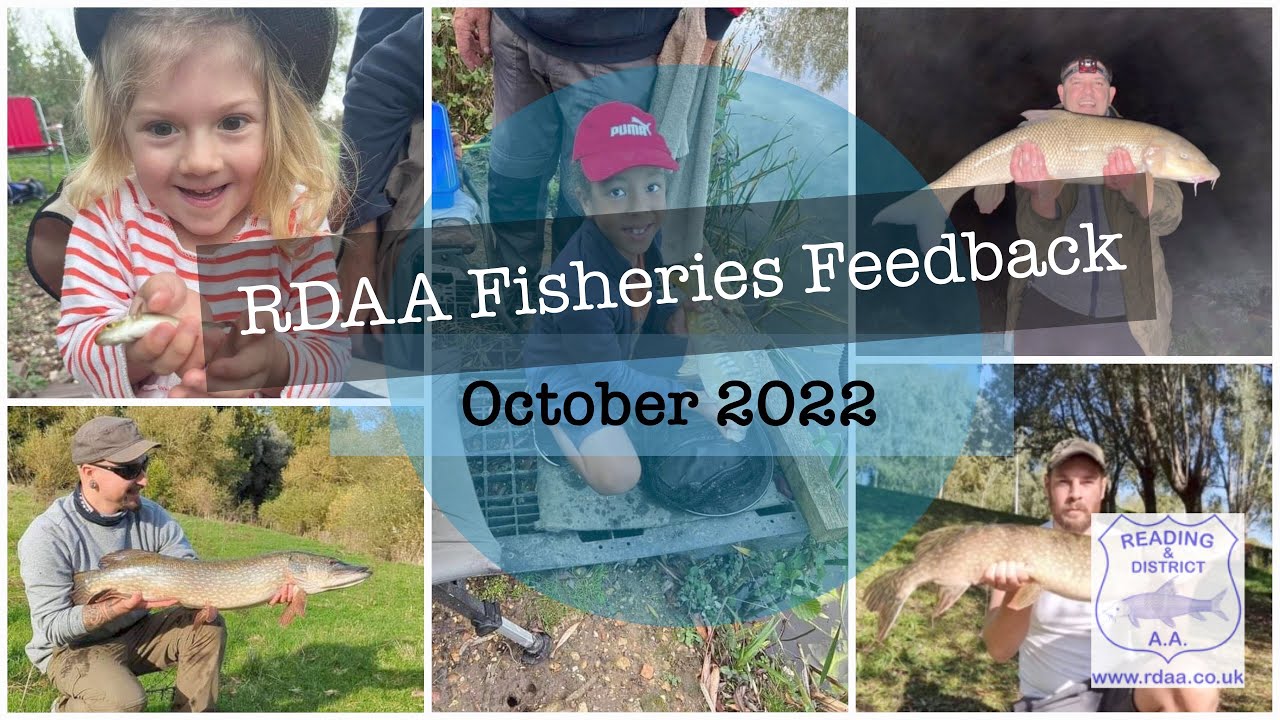 October 2022 : RDAA Fisheries Feedback - YouTube