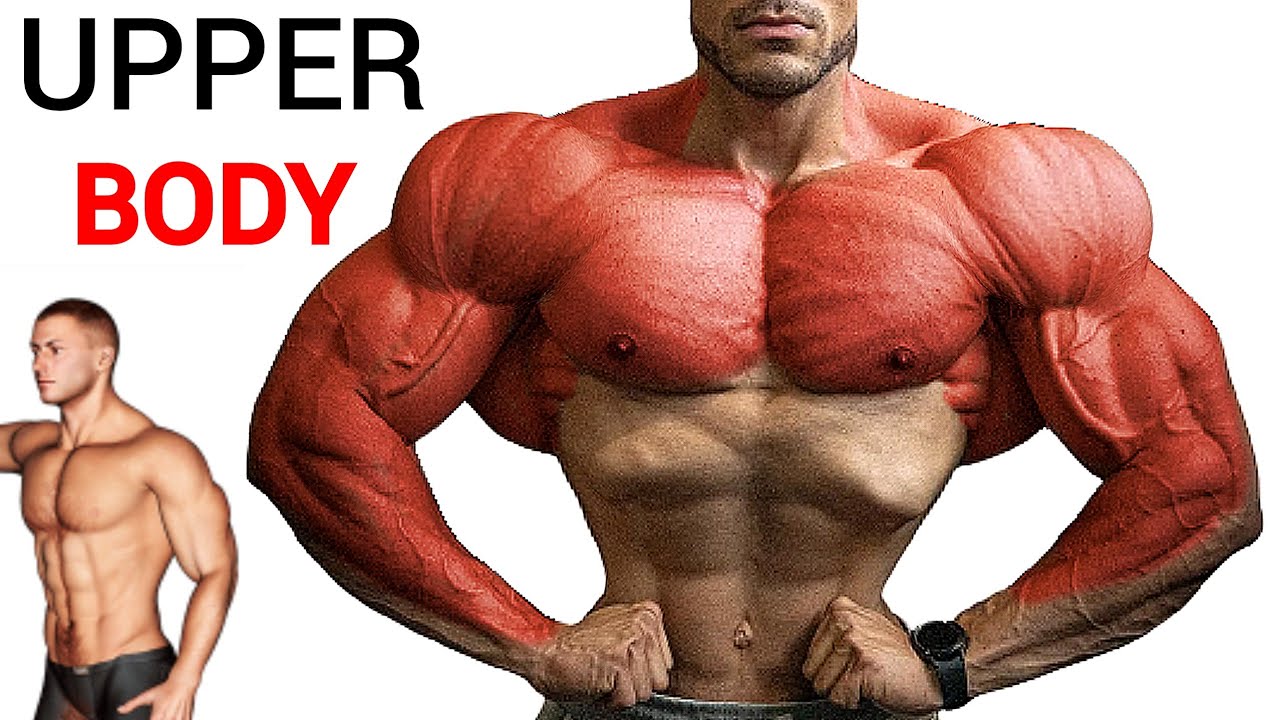 Upper Body Workout Gym to Build Upper Body Muscle - YouTube