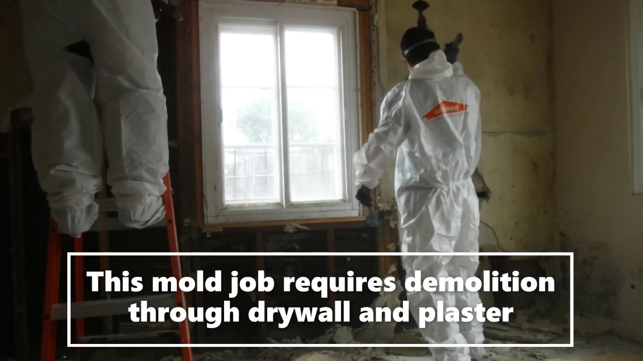 Big Mold Job! The Remediation process with SERVPRO of Claremont ...