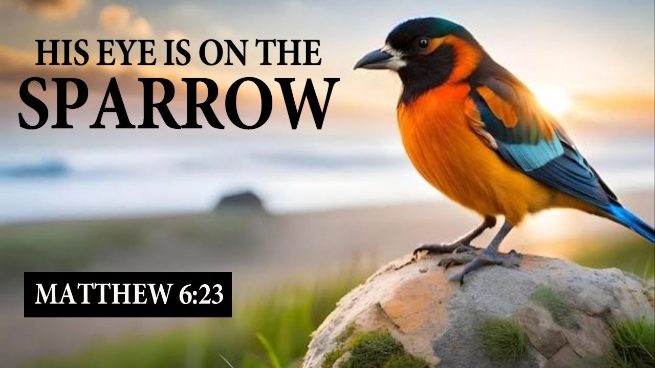 His eye is on the sparrow, HYMN - YouTube