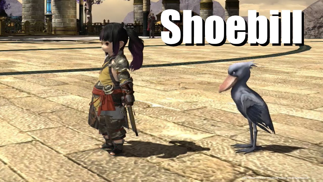 FFXIV Shoebill Minion - Shadowbringers - YouTube