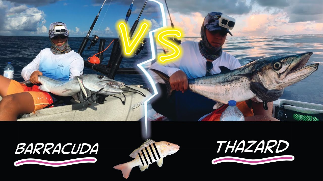 Gros barracuda et Thazard de 4kg en speed jigging | Touche en direct ...