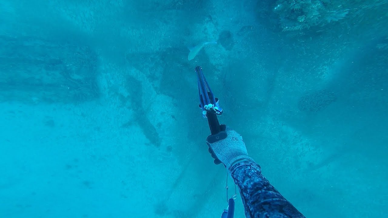 Spearfishing Western Australia North with unleashed_spearfishing - YouTube