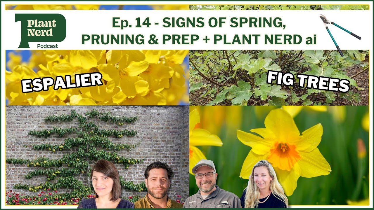 Plant Nerd Podcast Ep. 114 - Signs of Spring, Pruning & Prep + Plant ...