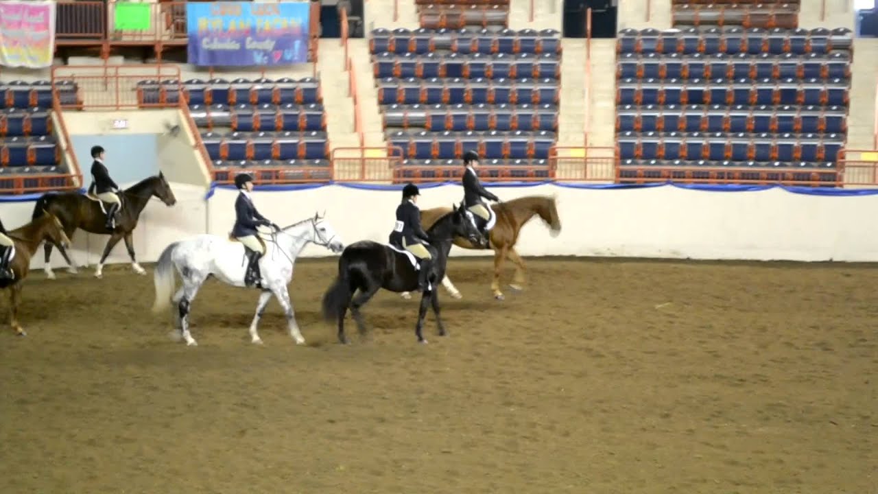 PA State 4H Horse Show 2013 YouTube pa-state-4h-horse-show-2013-youtube
