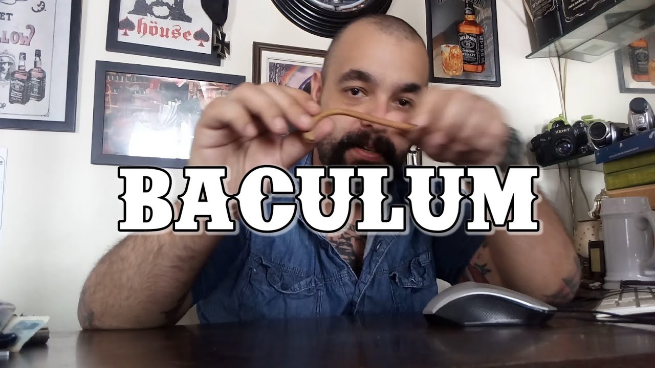 O que é BACULUM ??? - YouTube